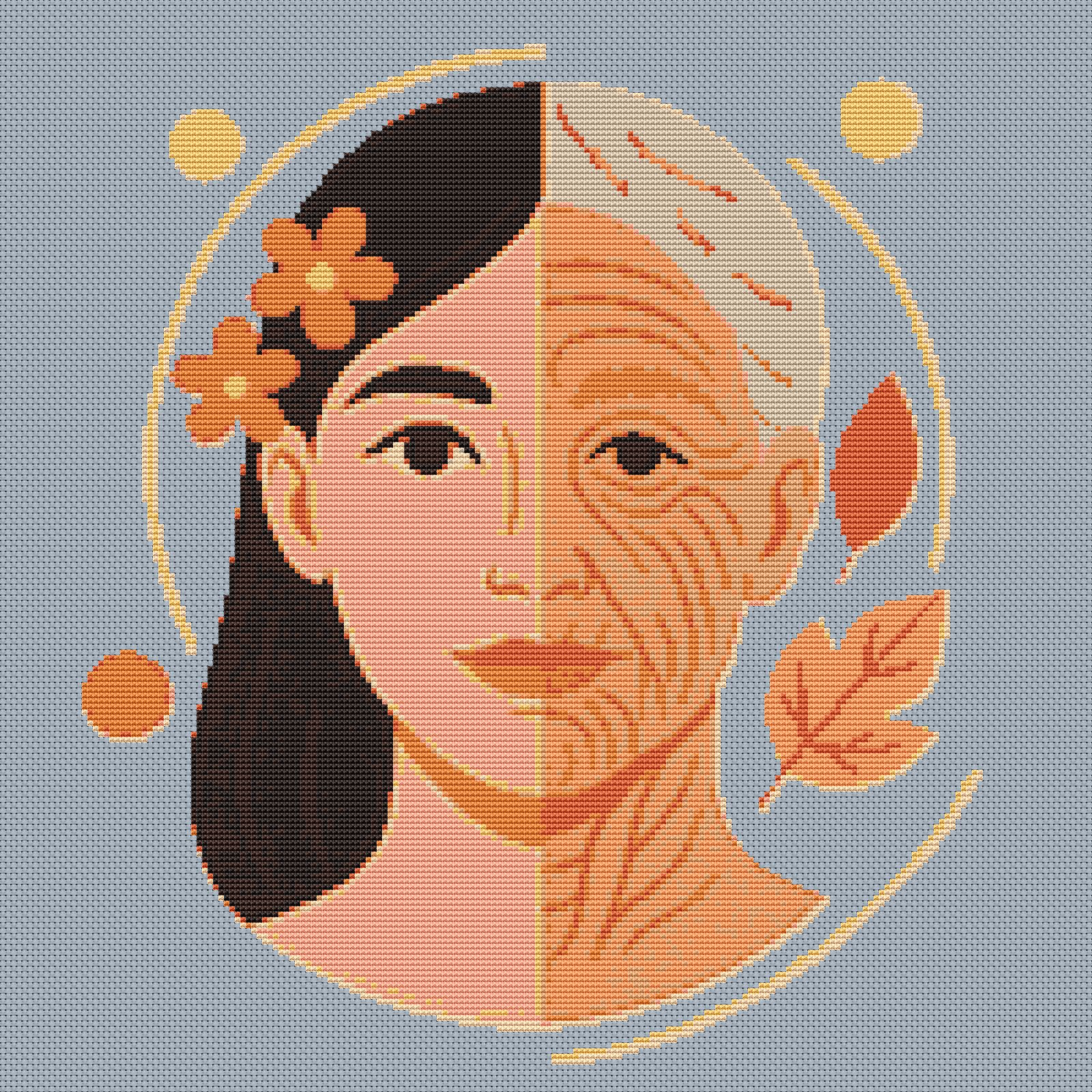 The human face is divided vertically the left half is youth, the right ...
